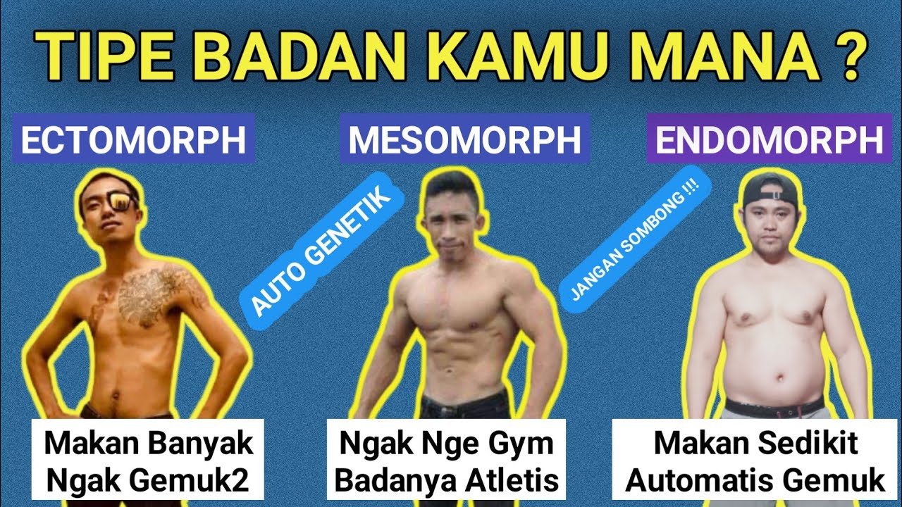 Tipe Badan Kamu Mana? Harus Tahu.. I Ini Pasti Sangat Memudahkan ...