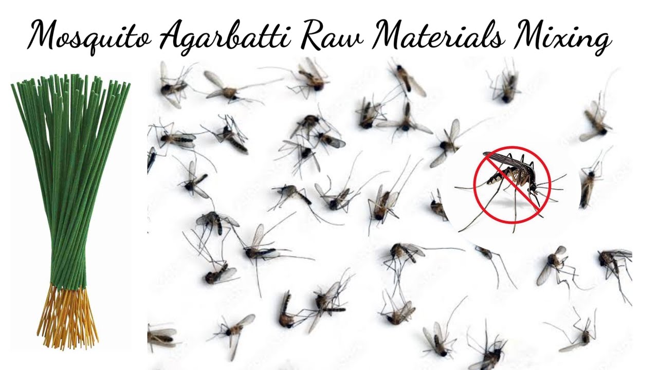 Mosquito Agarbatti Business || Macchar Agarbatti Making Process - YouTube