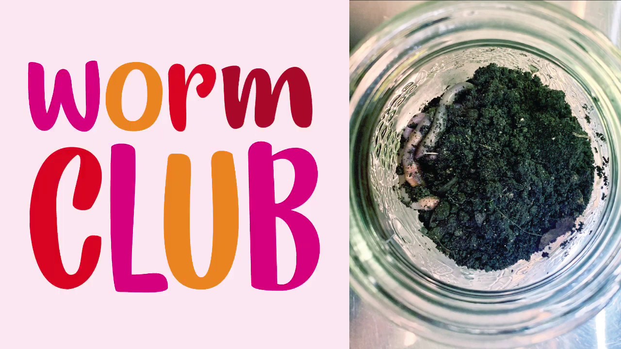 Millie's Worm Club - YouTube