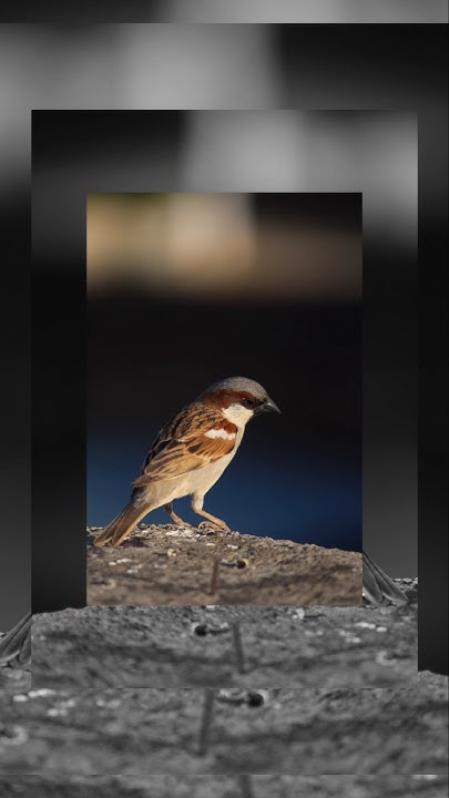 This tiny visitor just made my day. Sometimes, the simplest moments are ...