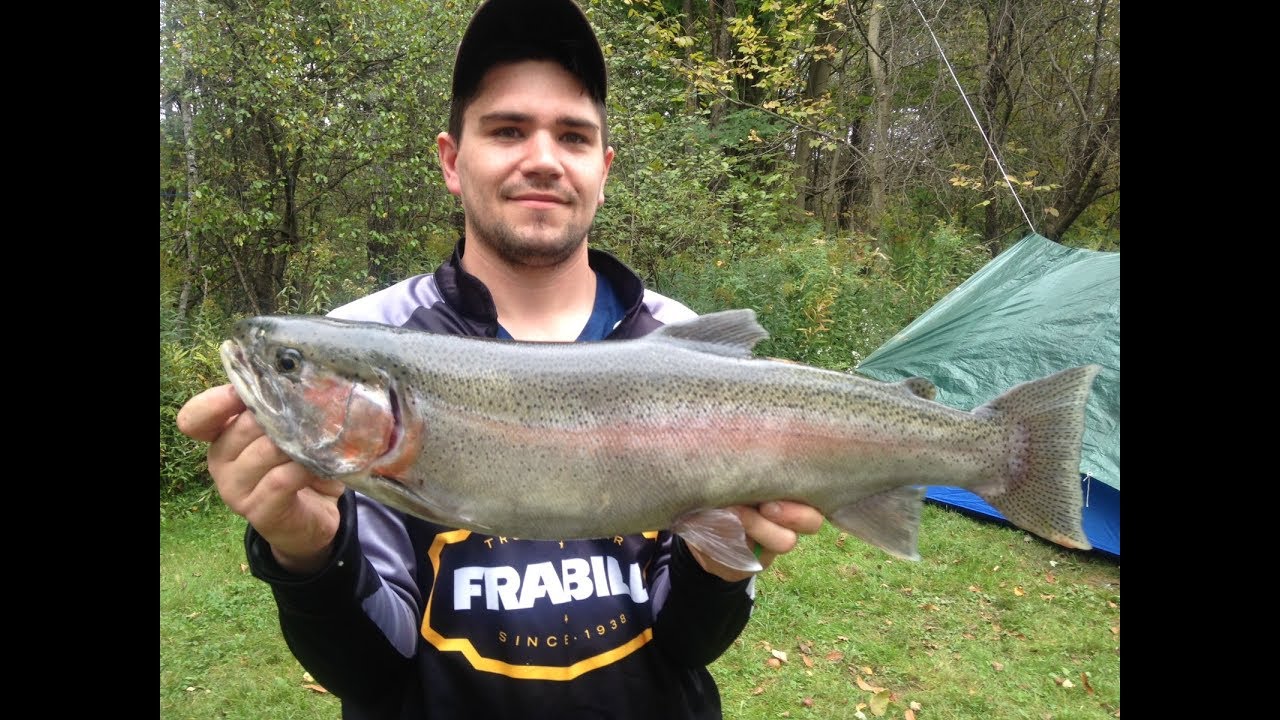 Salmon River Steelhead 2017 (tributary fishing Pulaski,NY) - YouTube
