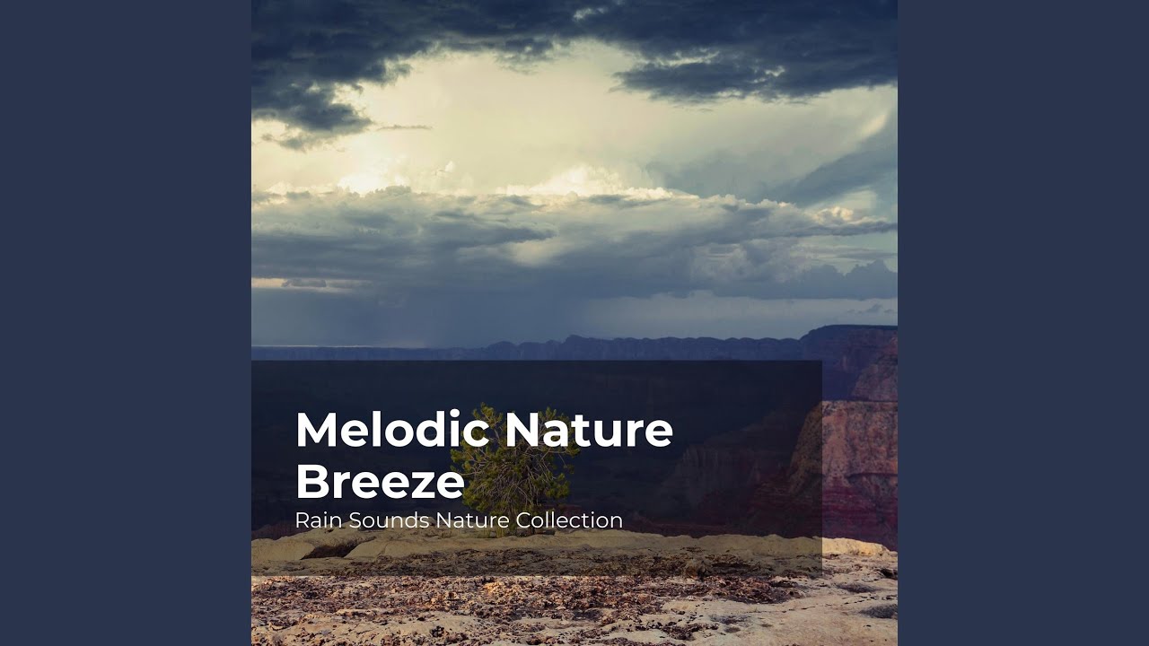 Mellow Nature Rain - YouTube