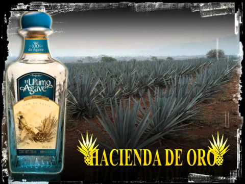 Tequila el ultimo agave - YouTube