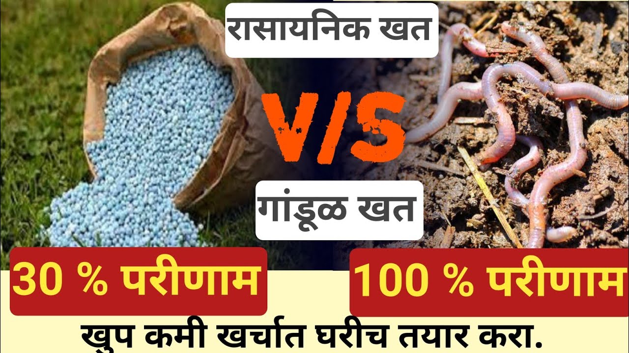 gandul khat mahiti Marathi|शेंद्रिय शेती माहिती मराठी|गांडूळ खत संपुर्ण ...