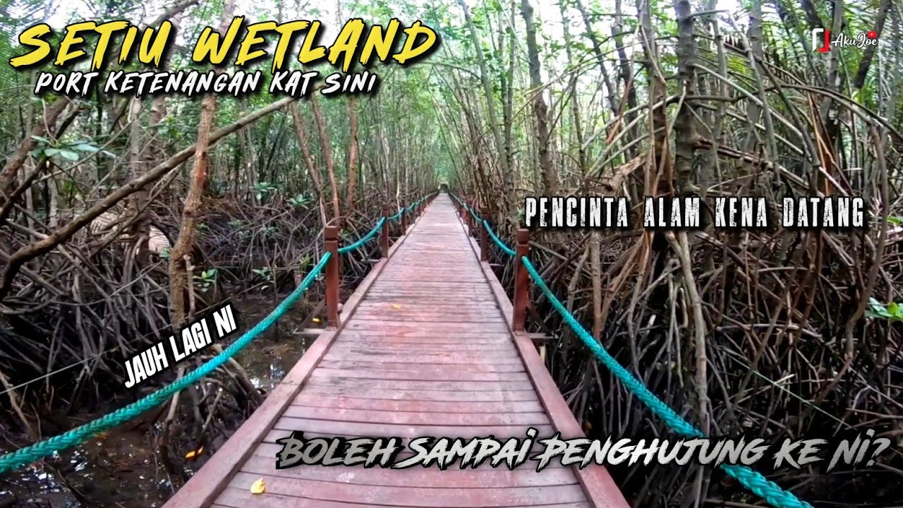Setiu Wetlands State Park Terengganu Perjalanan Alam @akujoe - YouTube