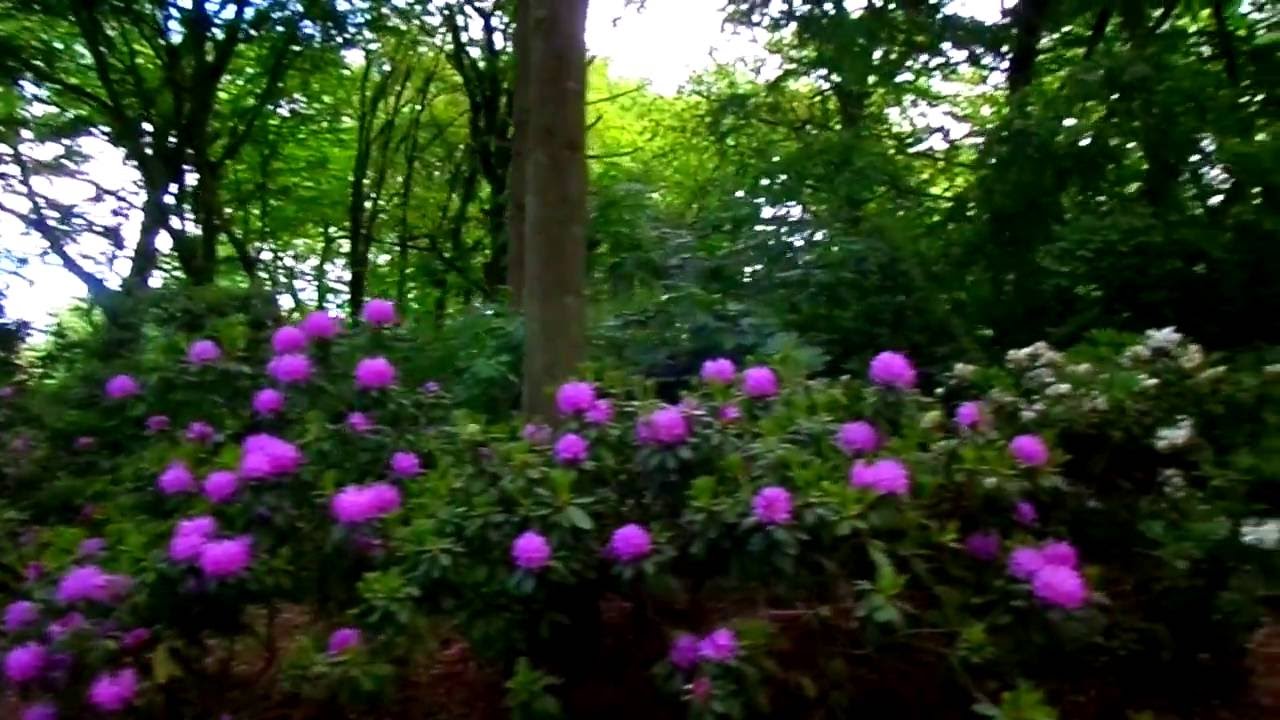 Surfing Llama / Bird Creek - YouTube