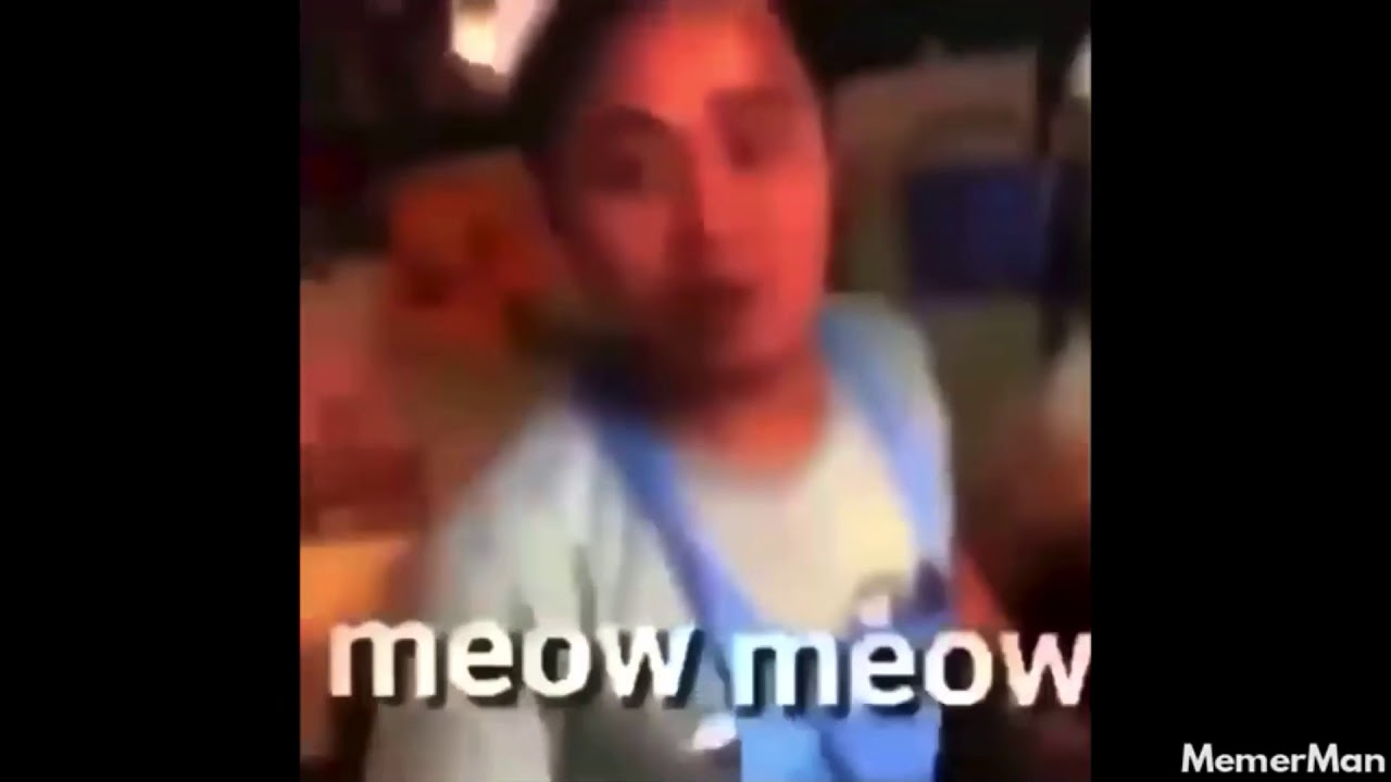 This is chicken meow meow meme - YouTube