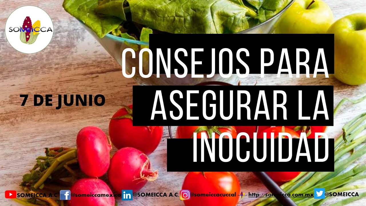 Consejos Para Asegurar la Inocuidad de los Alimentos |Día Mundial de la ...
