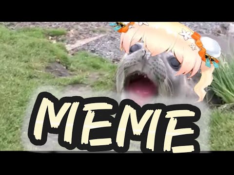 NENE SEAL MEMES COMPILATION #1