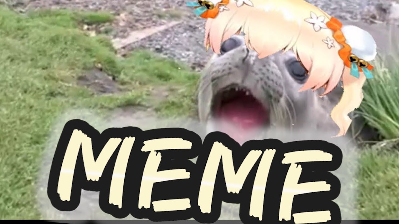 NENE SEAL MEMES COMPILATION #1 - YouTube