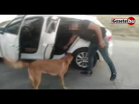 Burdur'da Narkotik Köpeği \