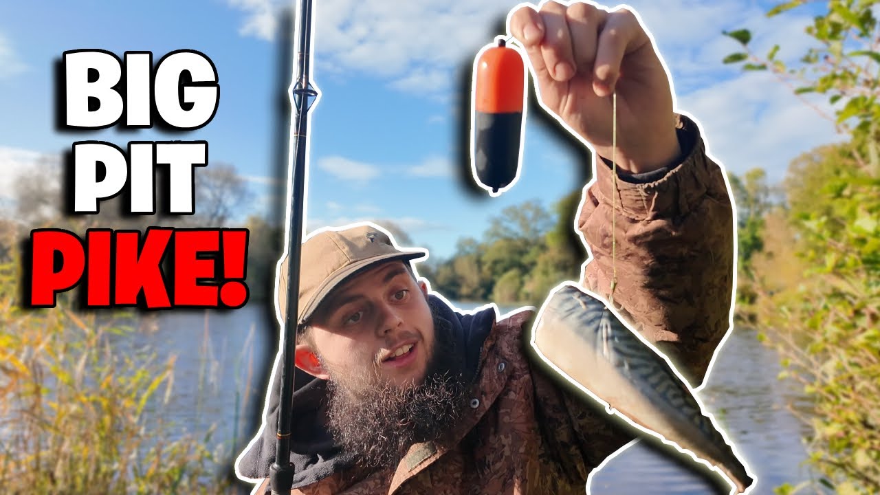 Is Dead Baiting the SECRET to CATCHING Beautiful Gravel Pit Pike? - YouTube