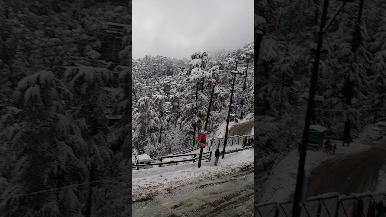 #Shimla snowfall bypass khalini 2020 - YouTube