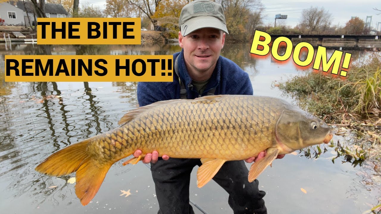 The Carp Are Still Biting! (Fall Carp Fishing with Cold Water Temps ...