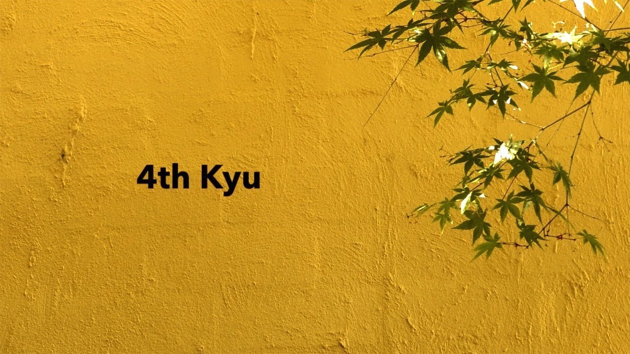 4th Kyu - YouTube