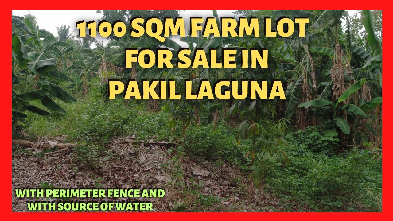 1100 sqm Farm Land in Pakil Laguna for Sale (Lot Code: 2345) - YouTube
