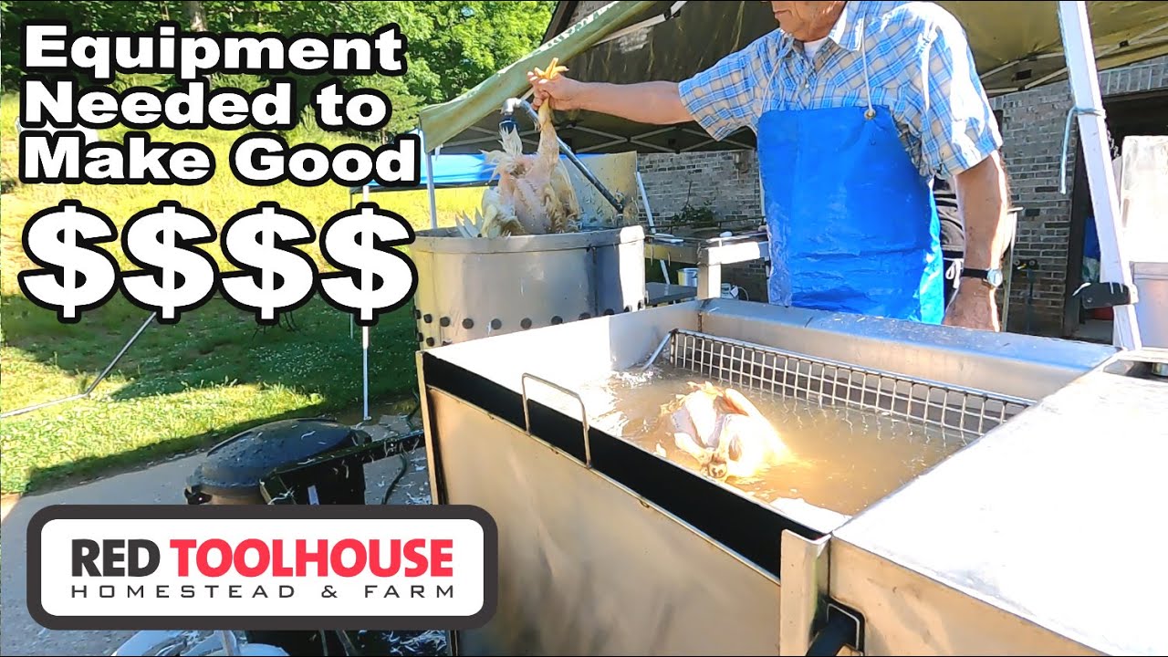 Essential Equipment for a PROFITABLE Chicken Process Farm Business ...