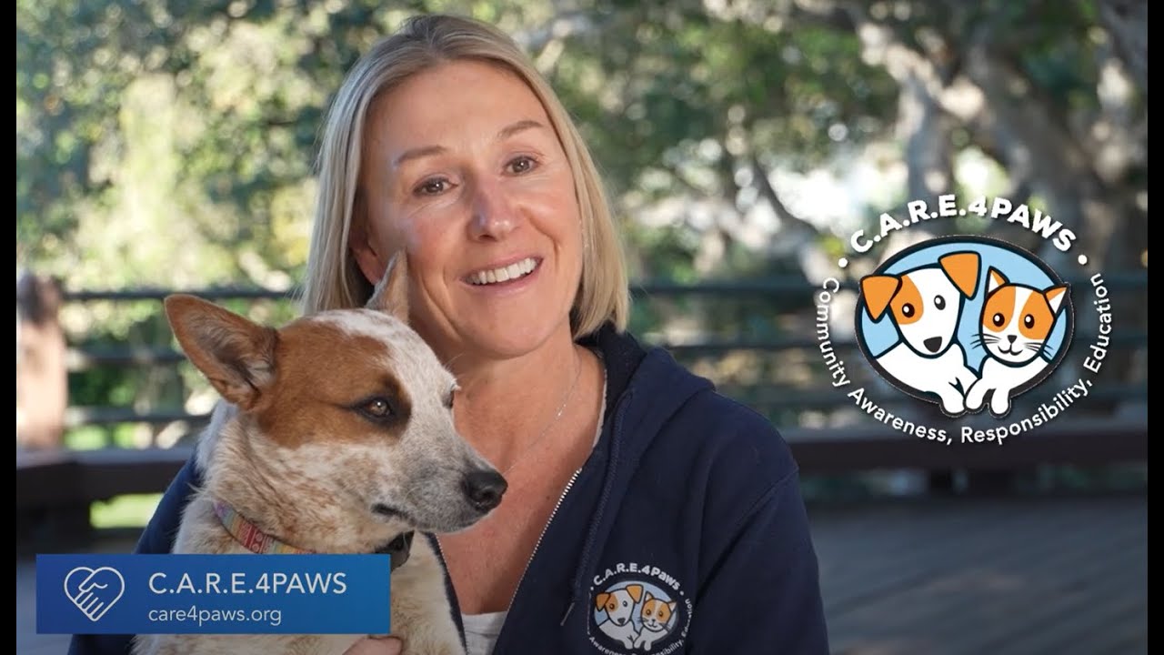 C.A.R.E.4Paws' critical community work! - YouTube