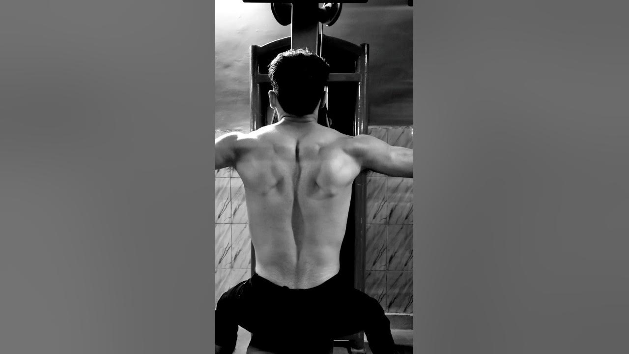 Workout At Gym Get Ready To Fight youtubeshorts trending viral workout-at-gym-get-ready-to-fight-youtubeshorts-trending-viral