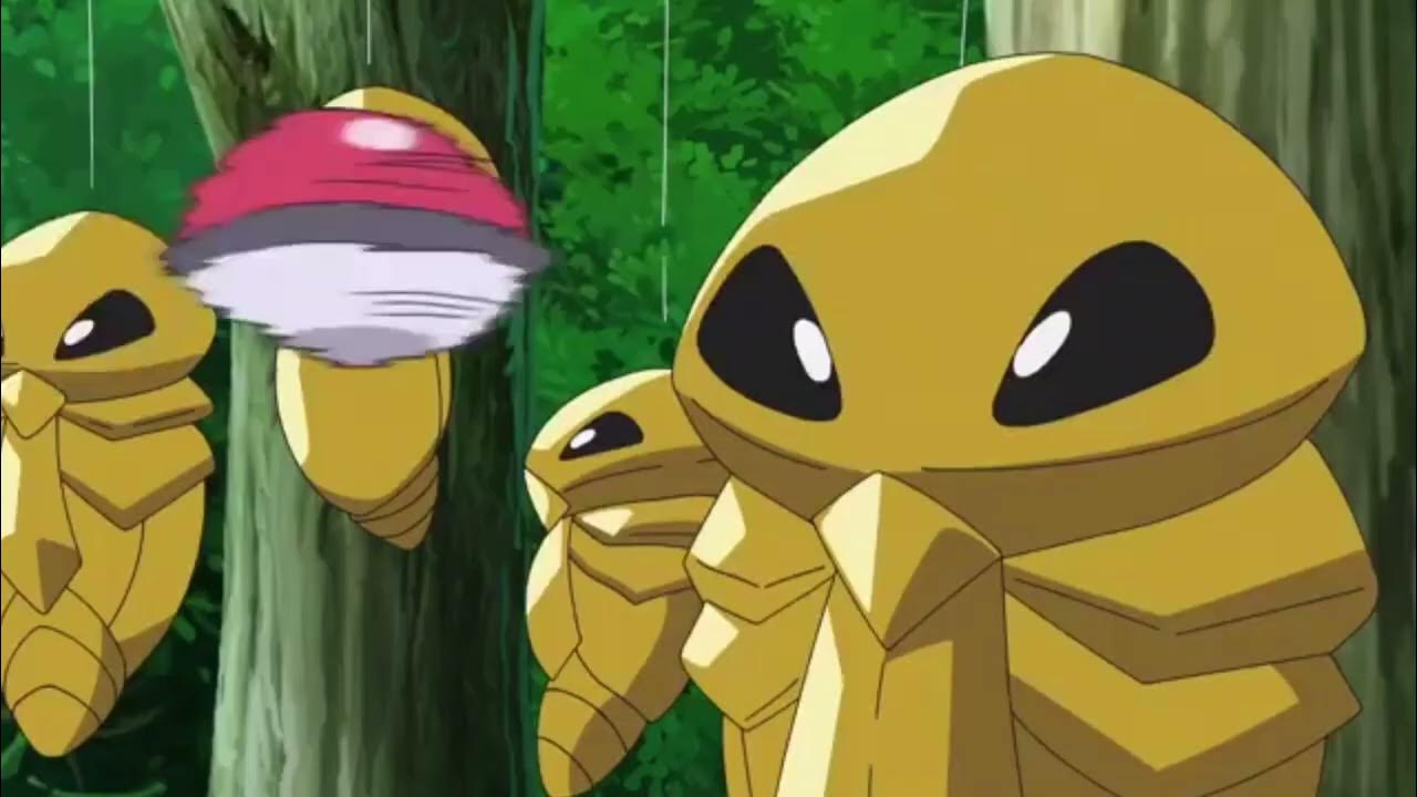 thông tin pokedex pokemon Weedle, Kakuna, Beedrill - YouTube