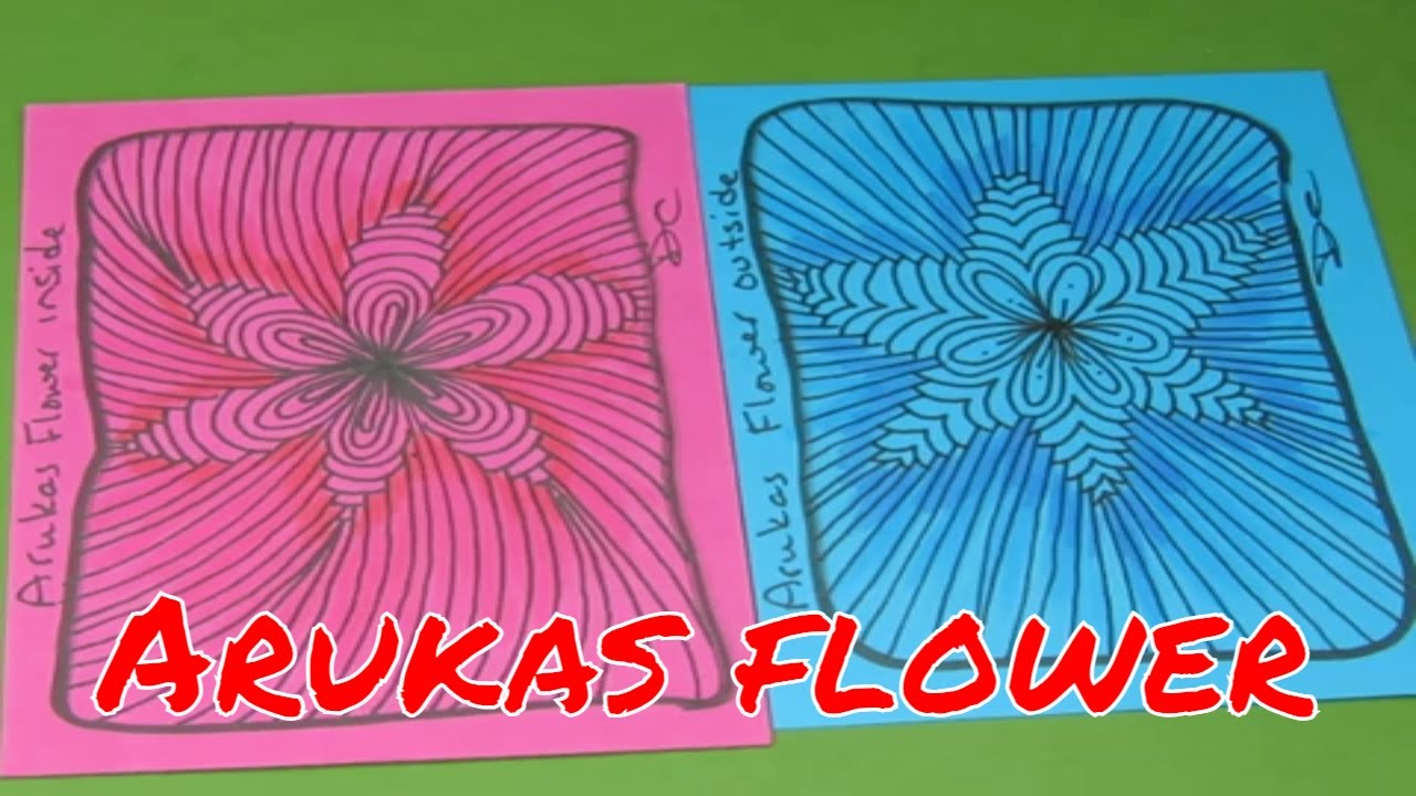 Arukas flower - inside and outside - YouTube