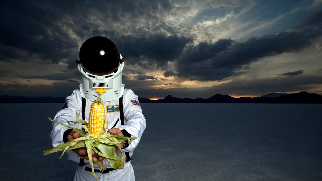 Hydroponics in Space | How astronauts use hydroponics to grow food in ...
