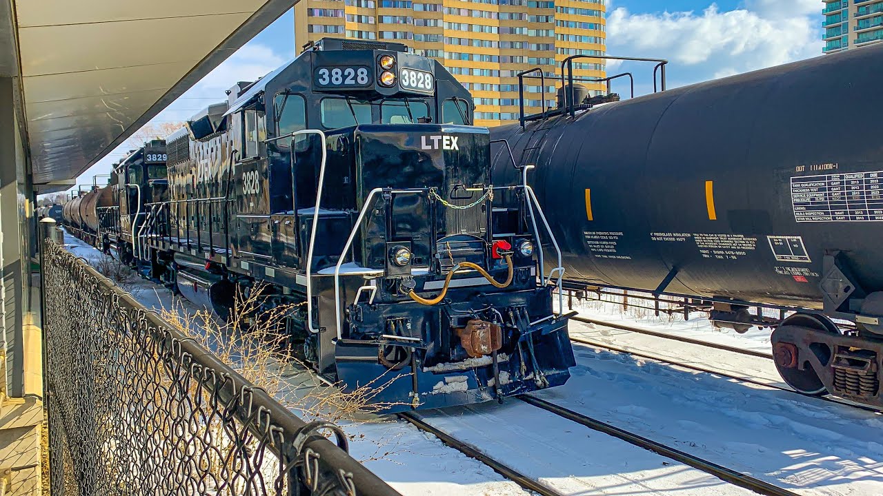 2 locals meet at clarkson *super rare* - YouTube