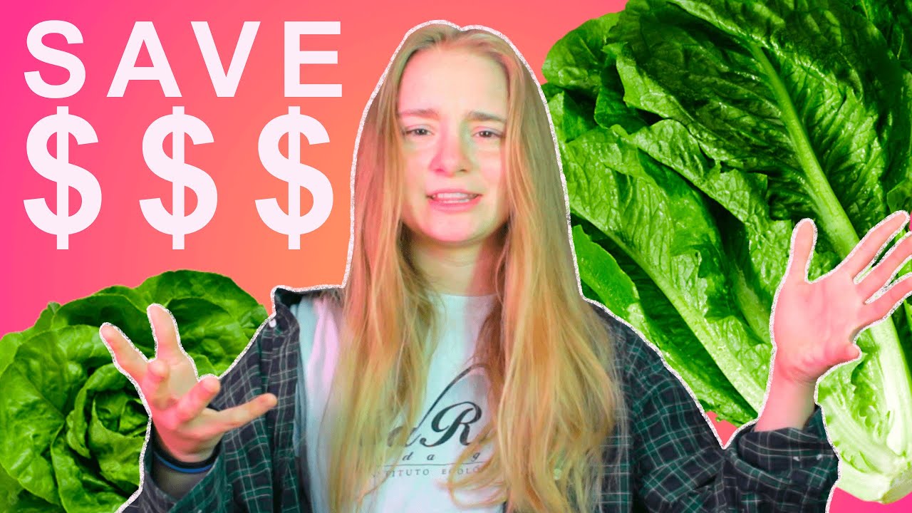 How to Start Kratky Hydroponics (Step-by-Step Beginner's Guide) - YouTube