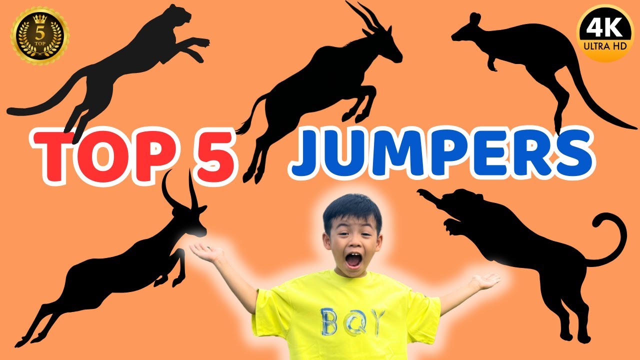 Top 5 Highest Jumpers in the Animal World! | | Wild animals facts for ...