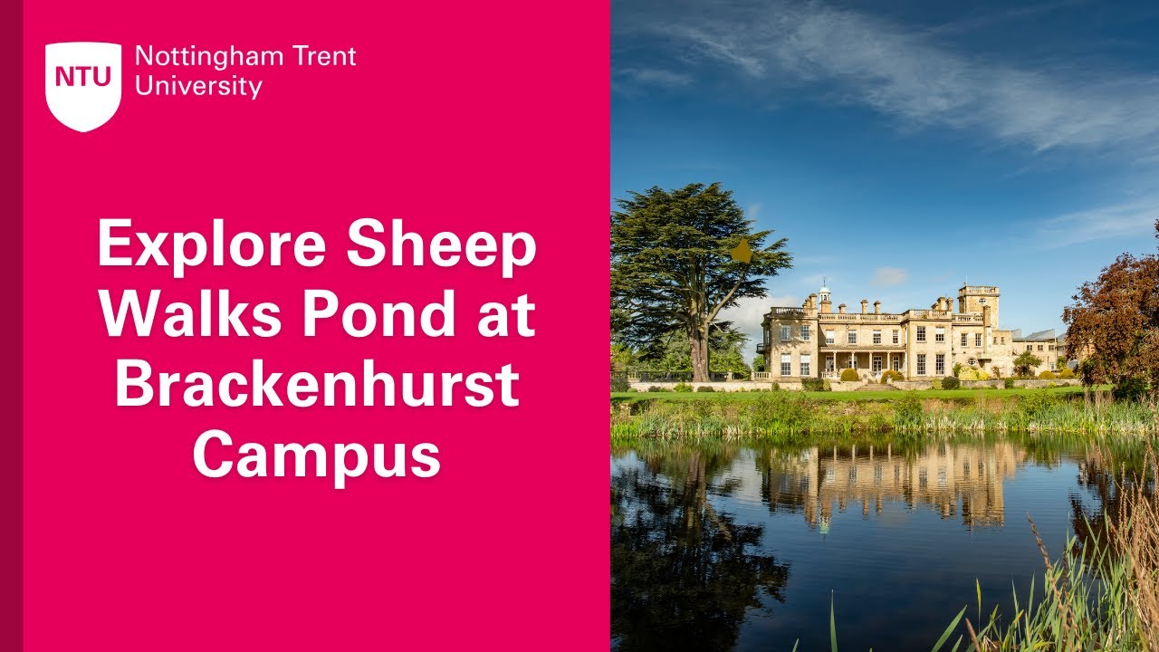 Explore Sheep Walks Pond at Brackenhurst Campus - YouTube