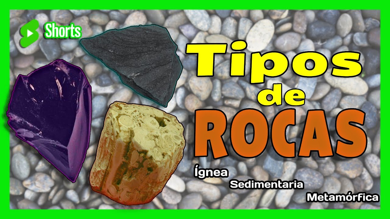 Diez Tipos Diferentes De Rocas Sedimentarias