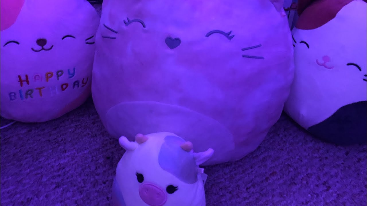 The squish family season 1 episode 1 - YouTube