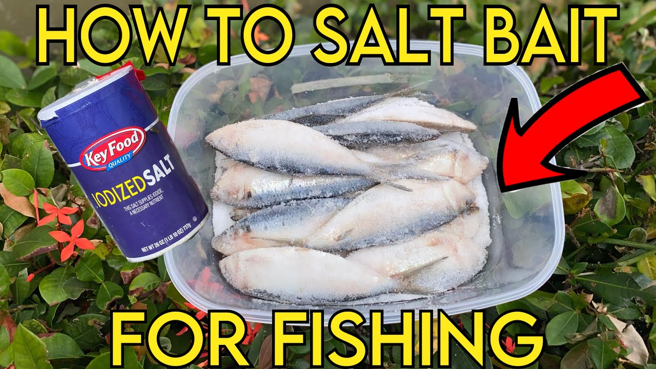 HOW to SALT BAIT for FISHING - YouTube