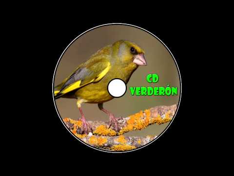 Nuevo Cd Verderón 2014
