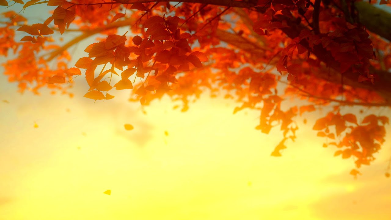 Rainer Maria Rilke "Herbsttag" · Film von Frank Suchland - YouTube