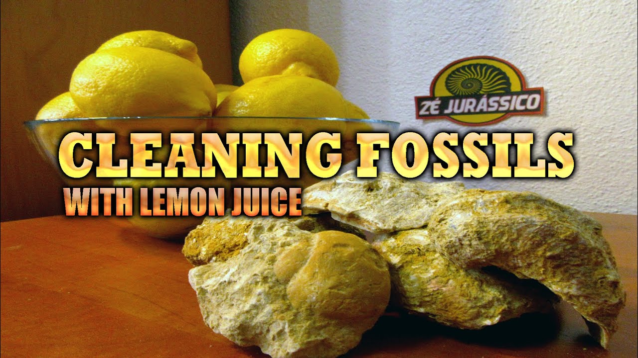 Cleaning Fossils with Lemon Juice - YouTube
