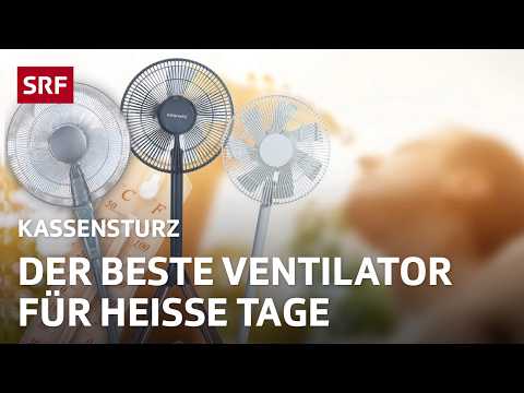 Standventilatoren im Test: Das beste Modell für den Hitzesommer | 2026 | Kassensturz | SRF