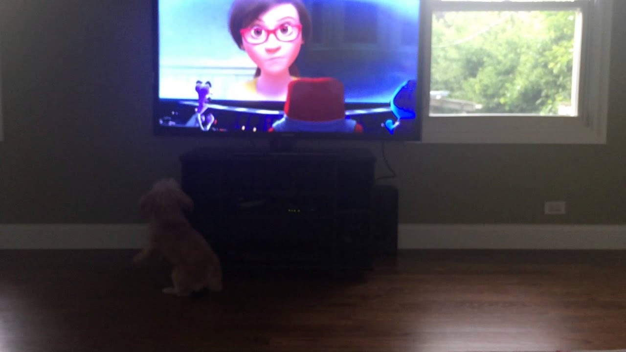 Dog Loves Disney :: Disney Pixar's Inside Out - YouTube