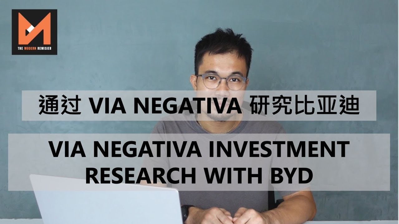Via Negativa Investment Research with BYD | 通过 Via Negativa 研究比亚迪 - YouTube