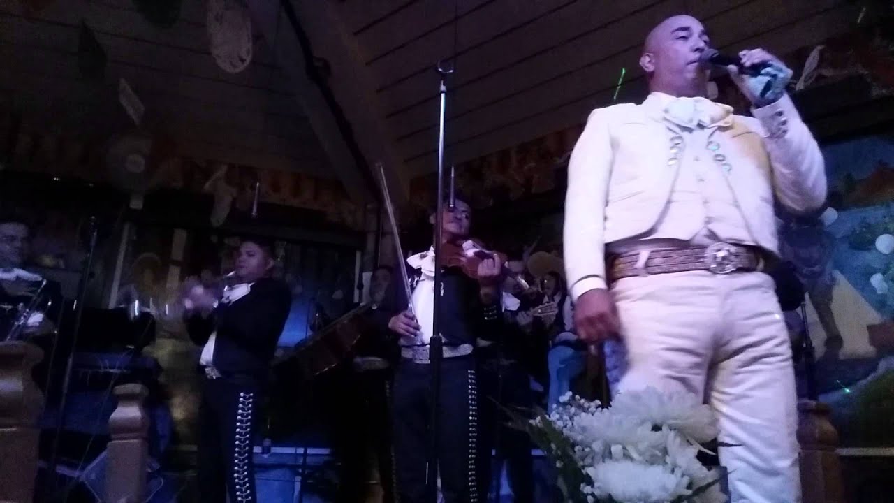 Pedro Rey Jr. Con Mariachi Fiesta Mexicana. - YouTube