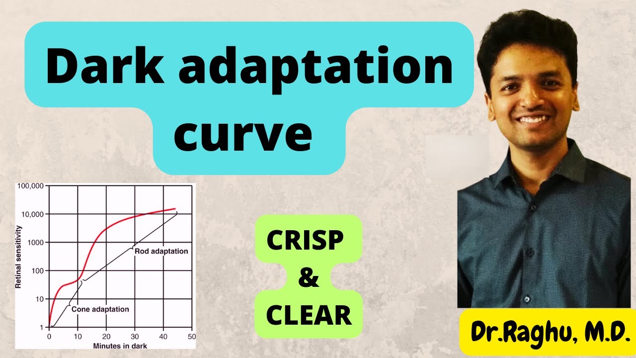 Dark adaptation curve | Visual adaptations | Physiology | Special ...