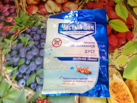 Дуст или ДДТ. Взвесить все за и против. - YouTube