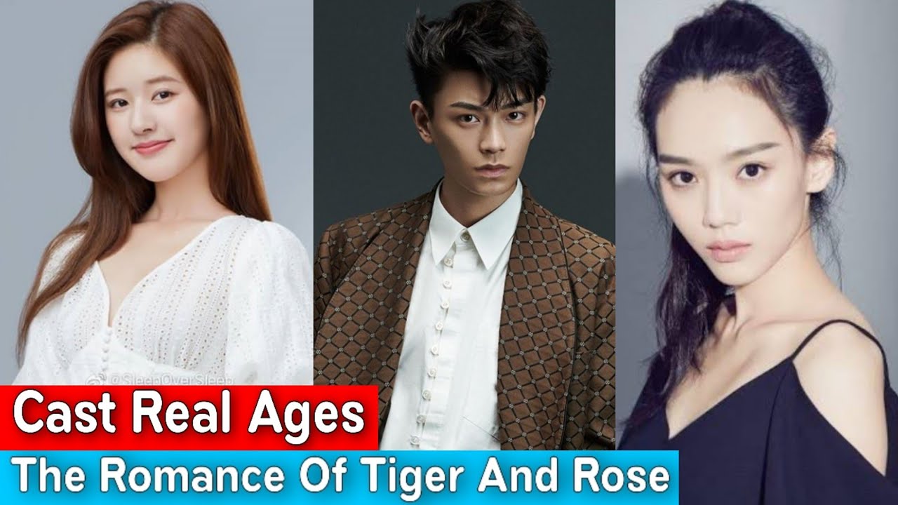 The Romance Of Tiger And Rose Cast Real Ages & Real Names |Zhao Lusi ...