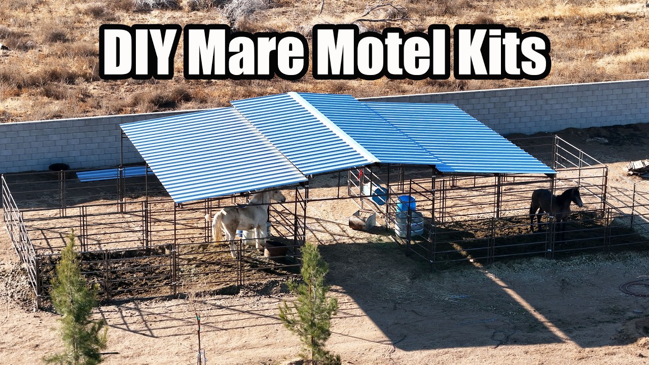 Mare Motels for Sale – Durable & Affordable 4-Stall Horse Barn Kits ...