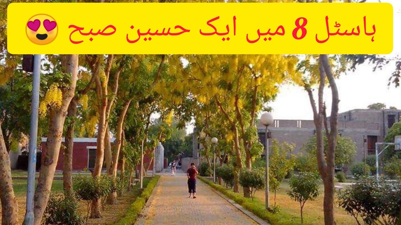 Beautiful morning in Pu Hostel 8/Punjab University Girls Hostel no 8 ...
