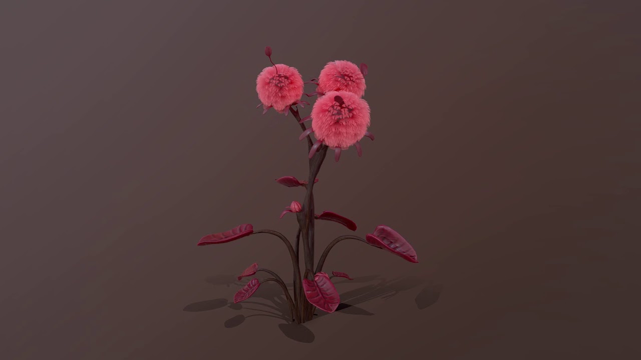 Cosmoflorist Red Flower - Animation Sequence - YouTube