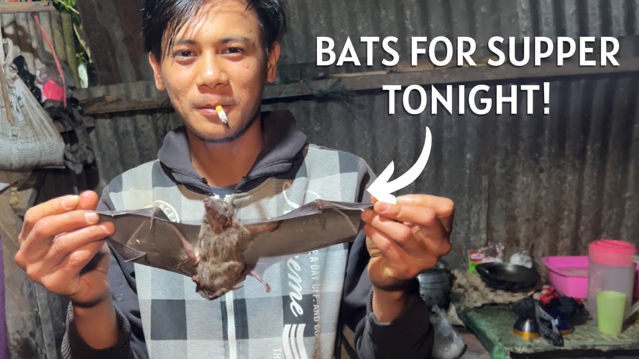 Exotic hunting & Tomohon market in North Sulawesi -- bat food, rats, snakes and more! - YouTube