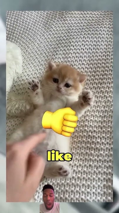 Snake Unable To Move 😱 - YouTube Snake Unable To Move 😱 - YouTube
