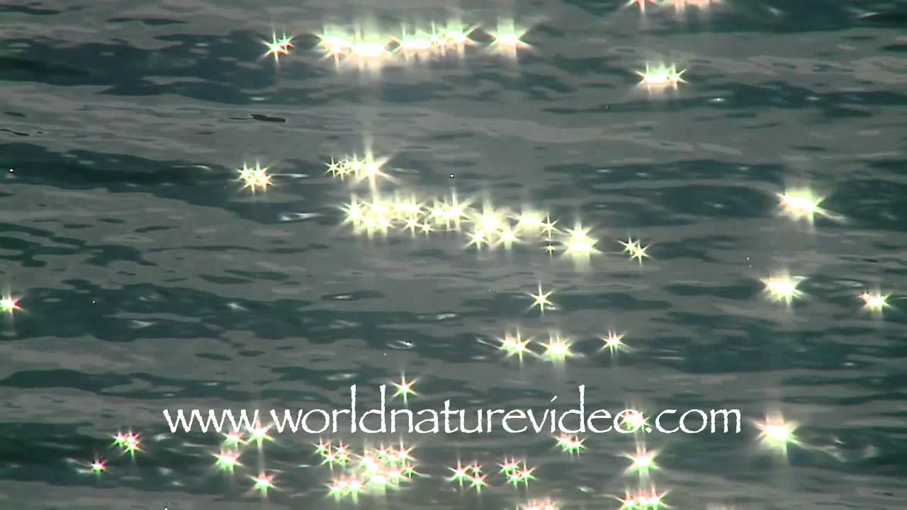 Sun glitter on ocean surface_10, Nature Video Stock Footage_0989 - YouTube