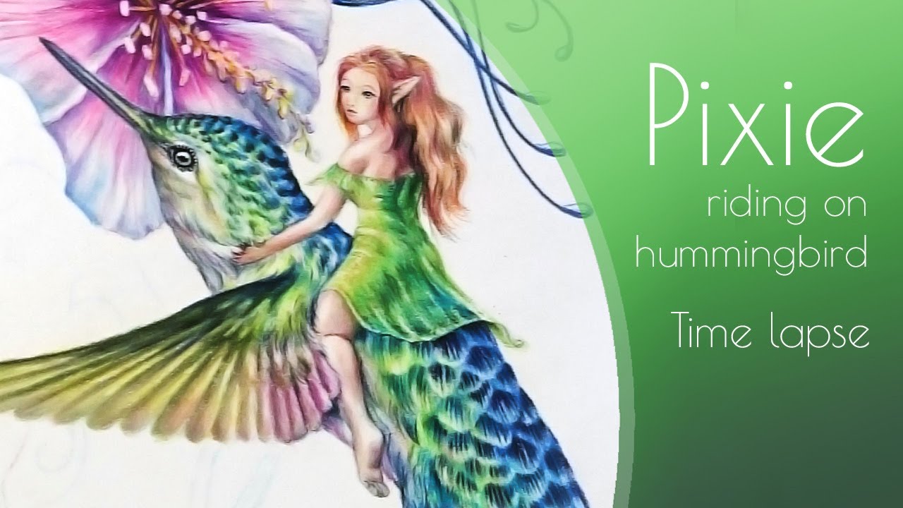 How to draw pixie and hummingbird with colored pencils - YouTube